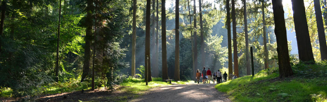 Terrestrial Ecology Unit – Ghent University