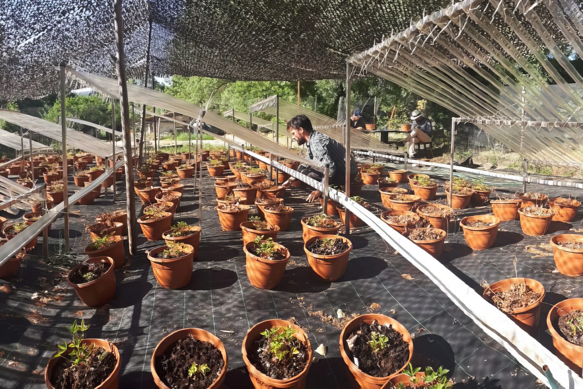 Bonte Lab | Spatial Ecology & Evolution – Terrestrial Ecology Unit